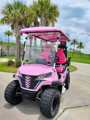 China Amplio revestido con polvo personalizable MacPherson Suspensión independiente 4 plazas Golf Cart con alcance de 80-90 km for sale