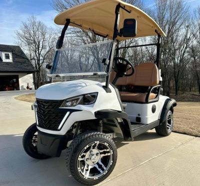 China New Designed 2 Seat Electric Golf  Cart 4KW Four Wheeler Durable Electric Golf  Buggy for sale