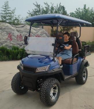 China Factory Direct Sale Electric Golf Cart With CE Qualification Certificate Newest Design for sale