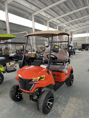 China 4kw Motor Golf Cart With Ball Washer And Sand Bottle For 2 Golf Courses  Equipped Lead-Acid Battery Or Lithium Battery for sale