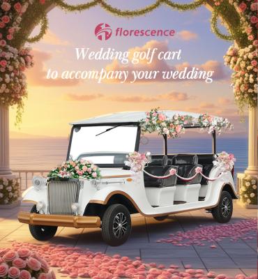 China ホワイトウェディング クラシックカー 4kw モーター 100km エンドアランス CE認証 for sale