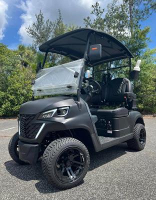 China 2 Passagiers golfkar elektrisch 4kw Power Small Off Road Premium kwaliteit 60V 100AH Te koop