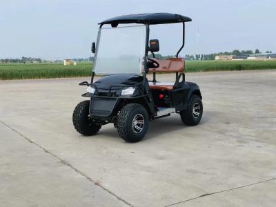 Cina Off-road 2 posti Golf Buggy ricaricabile Golf di buona qualità Auto turistica in vendita