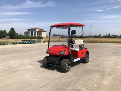 China New Designed 2 Seater Golf Cart On Board Charging Origin Type CE Approved for sale
