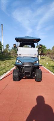 Cina Golf buggy ecologico con batteria agli ioni di litio a lunga autonomia e basso costo di manutenzione in vendita