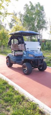 Cina Golf buggy ecologico con batteria agli ioni di litio a lunga autonomia e basso costo di manutenzione in vendita