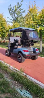 Cina Golf buggy ecologico con batteria agli ioni di litio a lunga autonomia e basso costo di manutenzione in vendita