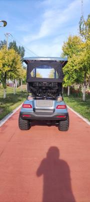 Cina Golf buggy ecologico con batteria agli ioni di litio a lunga autonomia e basso costo di manutenzione in vendita