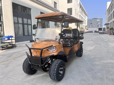 Cina 4 + 2 posti auto elettrica golf personalizzato nuova energia auto turistica area panoramica ricezione in vendita