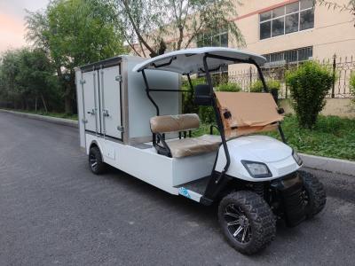 Cina Camionetto elettrico da golf con secchi di carico Aziende agricole Trasporti merci Fabbriche in movimento in vendita