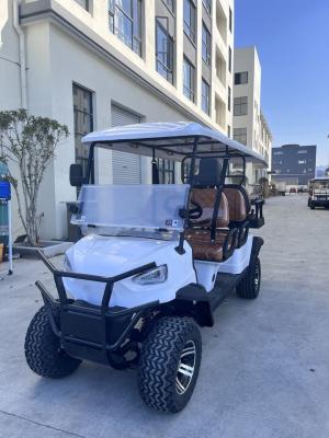 中国 電動 新型 パワーステアリング ゴルフ トラック 安い価格 エボリューション 小型ゴルフカート 速い 販売のため