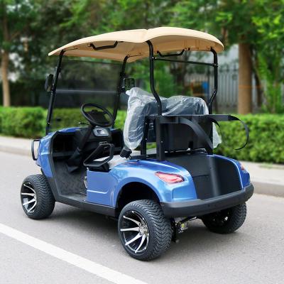 Cina Blu di lusso 2 posti carrello da golf elettrico batteria al piombo acido batteria al litio supporto personalizzato colore e logo in vendita