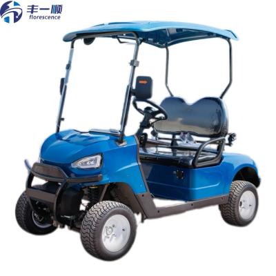 China Florscence 2 Seaters Electric Golf Cart High-Efficiency 5kW Drive Long-Range Battery for sale