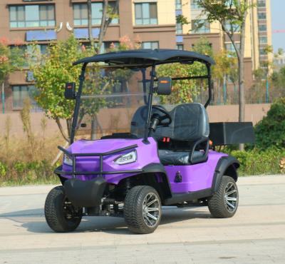 China Mini Luxury Electric Utility 2 Seater Golf Cart with Cargo Box for sale
