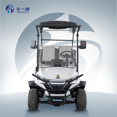 China EV Golf Cart with EPS Power Steering 5KW HSLT Motor 48V 150Ah Lithium Battery for sale