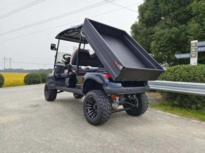 China Multi-Purpose Utility Vehicle 2-Seater Golf Cart with Cargo Bed for sale