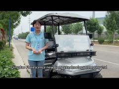 Custom Club EV Cargo Golf Truck Cart Nutzfahrzeug 20mph-40mph