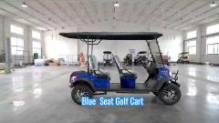 EV Golf Cart  Seat Blue Performance