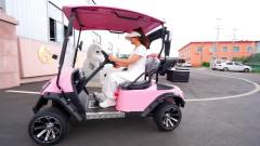 Colorful Stylish Electric Golf Cart