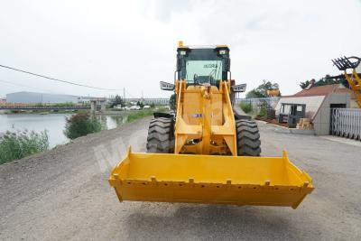 Cina 1.2m3 Bucket Small Front End Loaders Large Hub Axle 2560mm Base in vendita