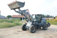 China Construction Compact HubWheel Loader 800 Kg Operating Load for sale