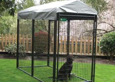 China Perreras modulares del perro del grado profesional, perreras exteriores del perro para los perros grandes en venta