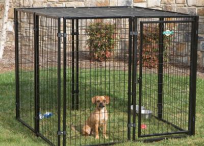 Cina Grandi penne portatili del cane per fuori, penna d'acciaio animale del cane nessun spigoli in vendita