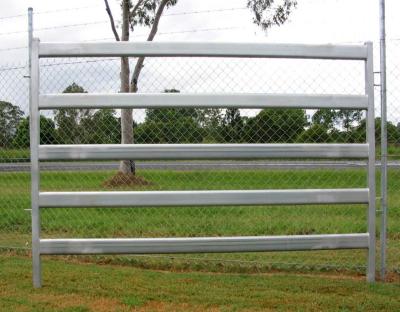 China La cerca galvanizada instalación simple del caballo artesona los paneles del tubo para los caballos en venta