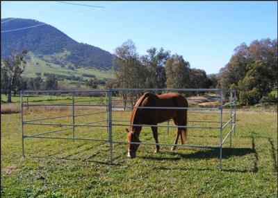 China los paneles de la granja de ganado de la altura del 1.8m, la cerca animal del caballo del metal artesonan flexible en venta