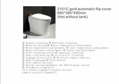 Cina Ceramic Floor Mounted Odm Sanitary Ware Toilet P Trap in vendita