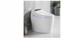 China Varied Rimless Smart Sanitary Ware Ce Certification for sale