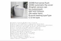 China Varied Rimless Smart Sanitary Ware Ce Certification for sale