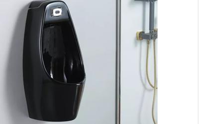 Cina Multi risparmio ceramico dell'acqua della ciotola di toilette dell'orinale degli uomini di colore 740X390X250mm in vendita