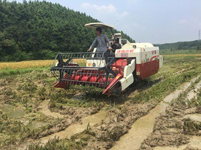 China RL（4LZ-6.0P）102hp TRACK COMBINE HARVESTER cutting bar   combine machinery MADE IN CHINA Te koop
