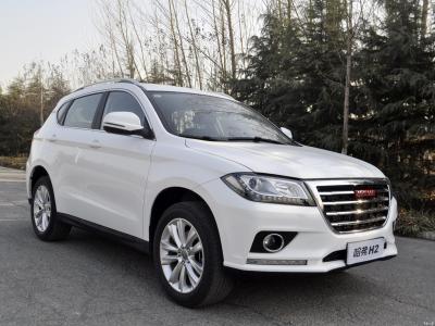 Cina 2014- Anno Grande Muraglia 4121200xsz08a Far R-H per Haval H2 in vendita