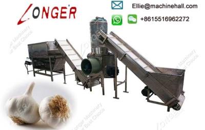China Automatic Garlic Processing Plant for sale