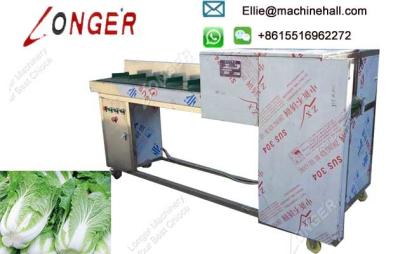 China Vegetable Root Cutting Machine for sale
