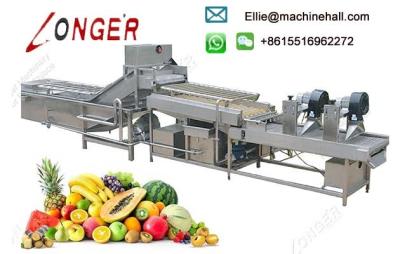 China Automatic Fruit and Vegetable Washing and Drying Processing line for sale