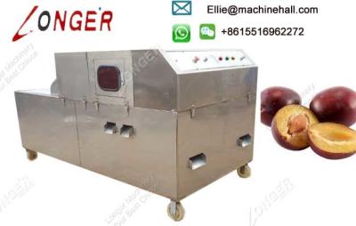China Fruit Factory Use Automatic Cherry Plum Pitting Machine for sale
