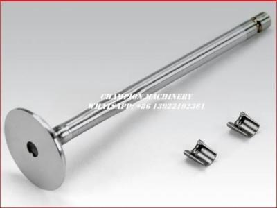 Cina La dimensione standard 3802924EA Cummins Engine parte il corredo della valvola di aspirazione in vendita
