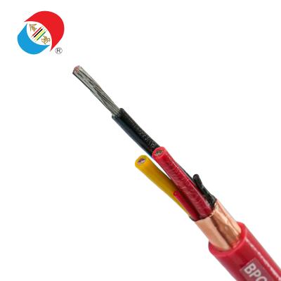 China BPGGP2 Instrumentation Control Cable for DCS & PLC Systems Dual Shielded PE Insulated PVC Sheathed for sale