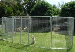 China Dog Cage for sale