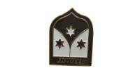China Custom Shape Enamel Lapel Pins Polish Backside Die Casting Process for sale