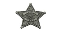 China Custom Shape Enamel Lapel Pins Polish Backside Die Casting Process for sale