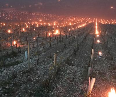 China Against Spring Frost Candles for sale