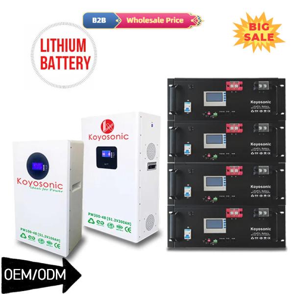 Quality 12V/24V/48V LFP Series Lithium Battery Lithium Ion Battery For Energy Storage Replacement Batteries for sale
