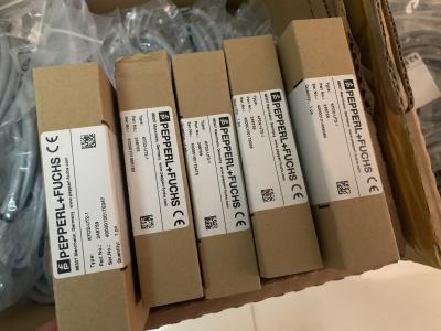 Chine PEPPERL FUCHS KFD2-UT2-1 Universal Temperature Converter Analog Input à vendre