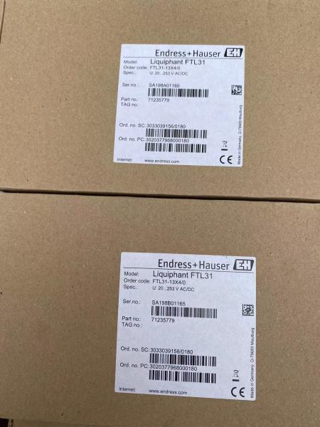 Detección vibrónica Liquiphant FTL31-13X4/0 del nivel del punto de Endress Hauser