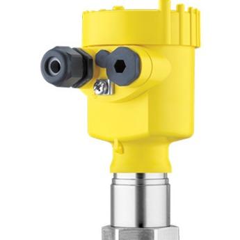 China CP65.XXKGDRAM   L=500MM VEGA lever capacitive level switch CP64.UXFGARAMX for sale