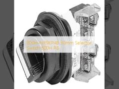 800H-NR9KP4B 30mm Selector Switch 800H PB